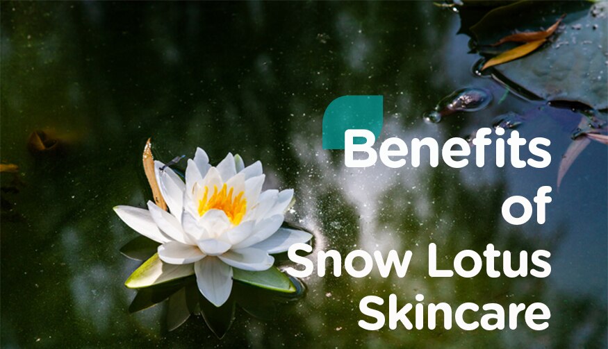 Benefits of Snow Lotus Skincare | Watsons Thailand
